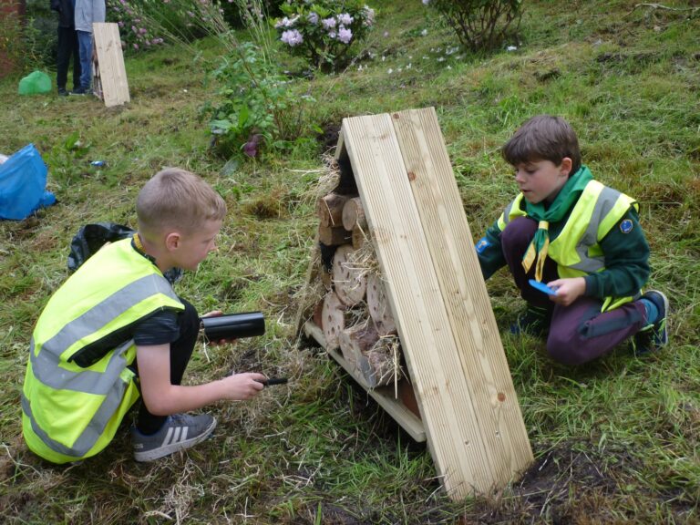 Growing range of community-led environmental and wildlife projects ...