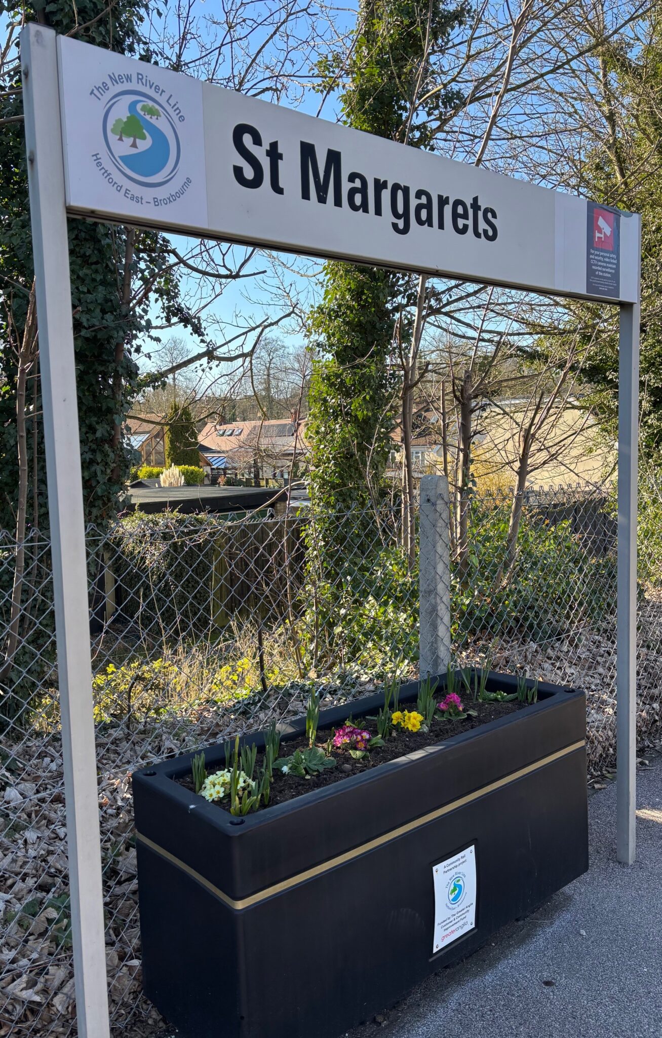 Self-watering planters installed to boost wildlife at St Margarets ...